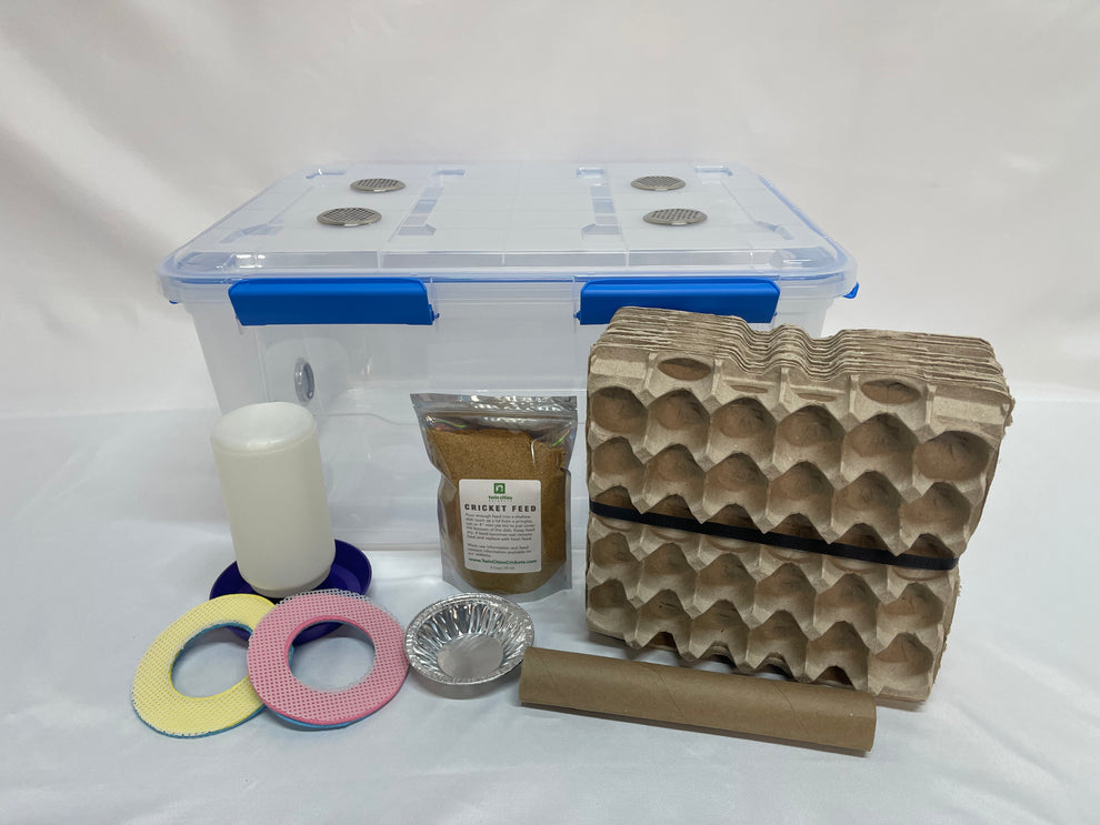 Extra Large Complete Cricket Cage System – Twin Cities Crickets