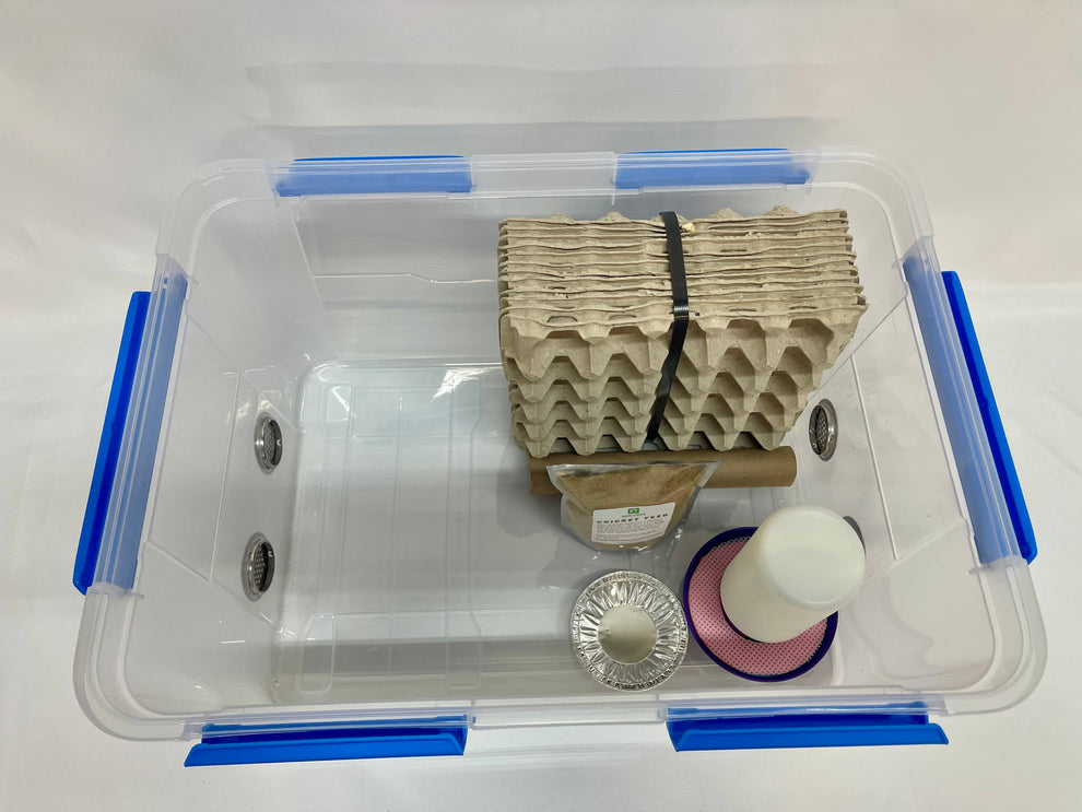 Extra Large Complete Cricket Cage System – Twin Cities Crickets