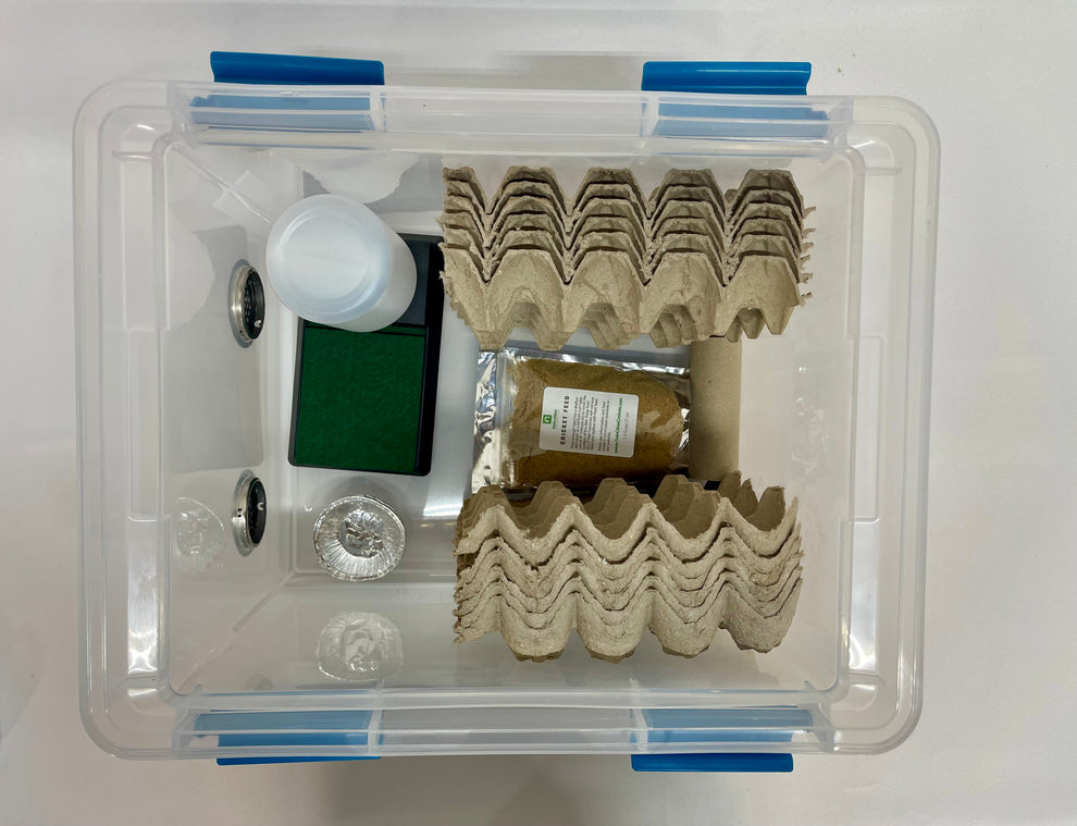 Medium Complete Cricket Cage System – Twin Cities Crickets