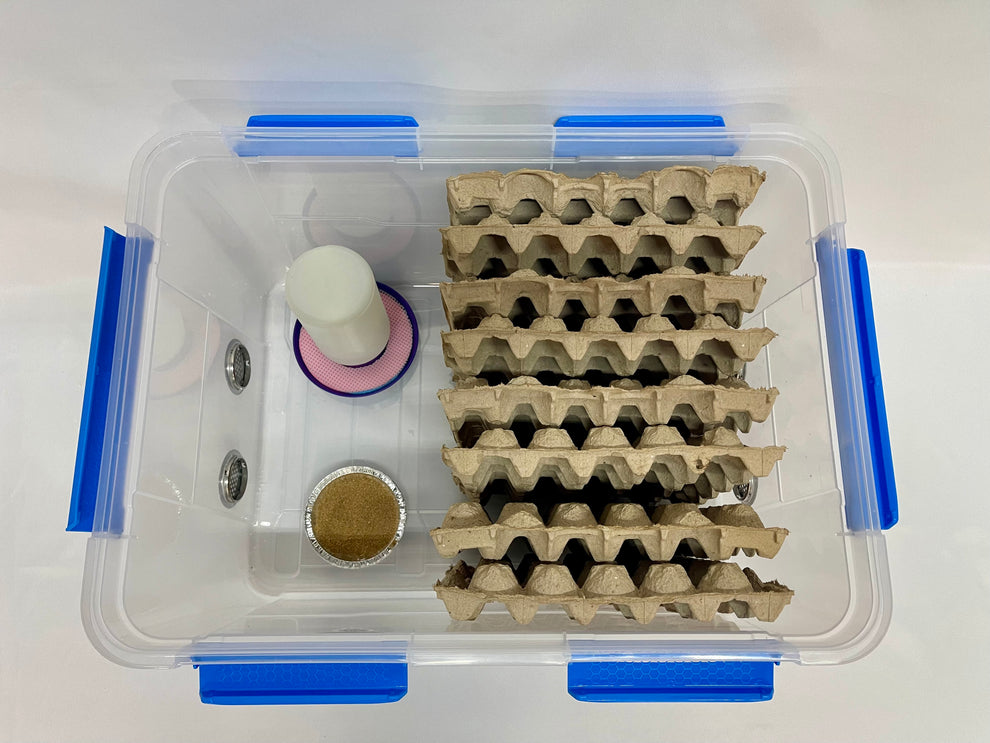 Extra Large Complete Cricket Cage System – Twin Cities Crickets
